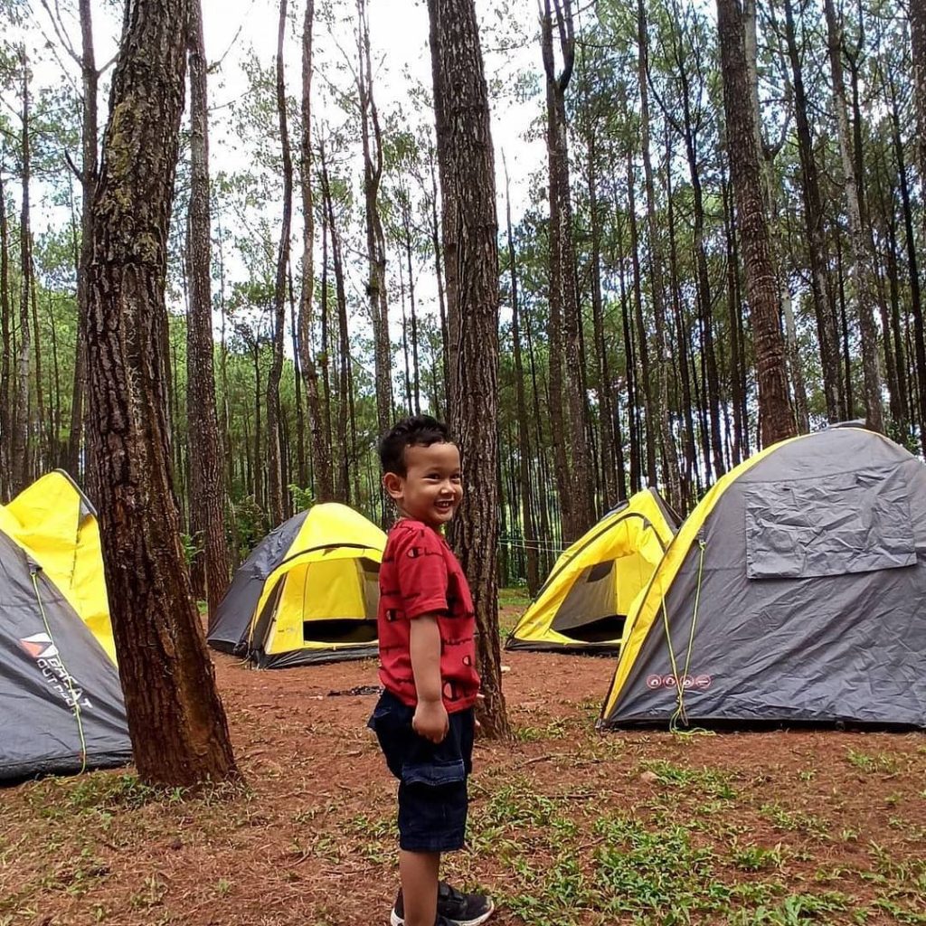 Puncak Becici Jogja – Pesona Hutan Pinus & Spot Sunset Terbaik
